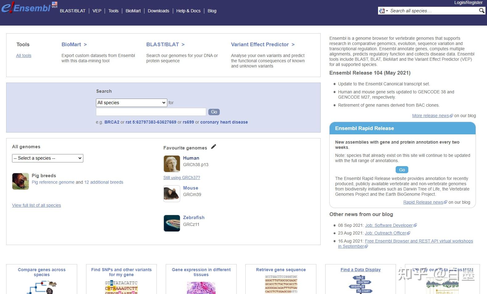 解析 Ensembl 的数据库服务器（图文详解） - 知乎