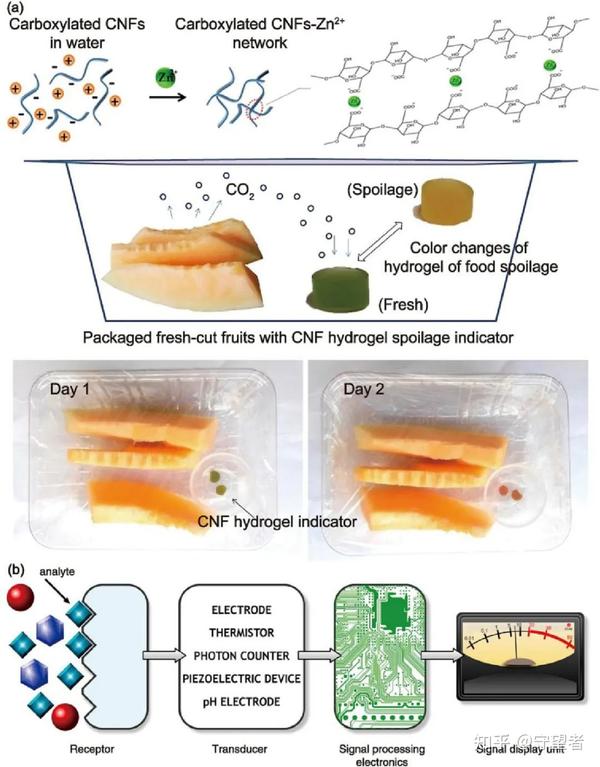 Carbohydrate Polymers：可持续多糖基材料用于智能包装 - 知乎