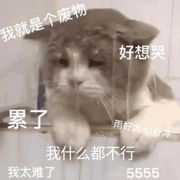 解读bi系统的分布式部署原理和技术实现 知乎