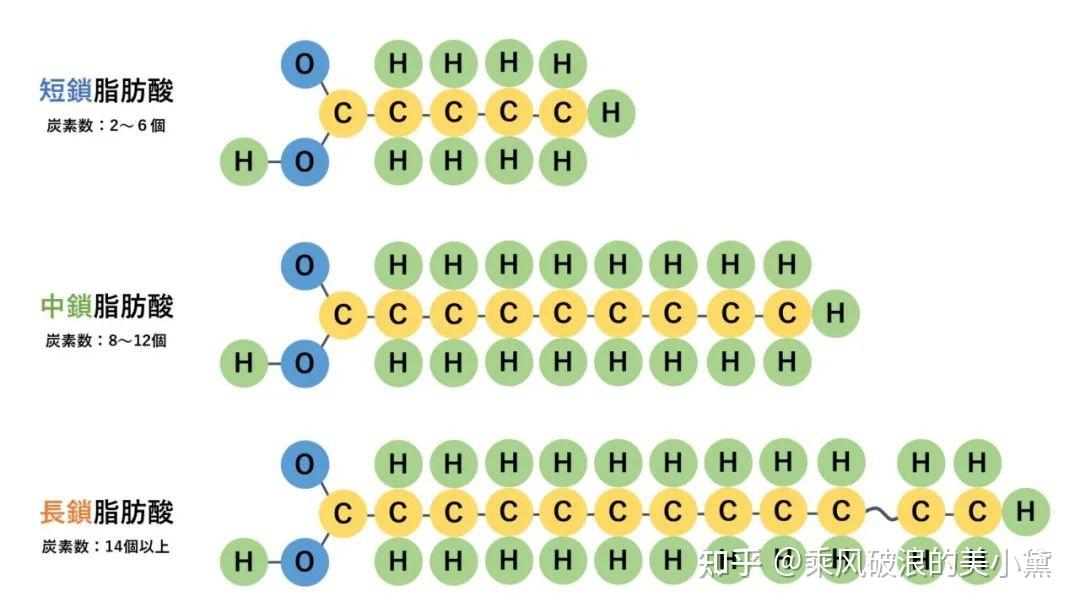 脂肪酸有哪些分类？看这一篇文章就懂了 - 知乎