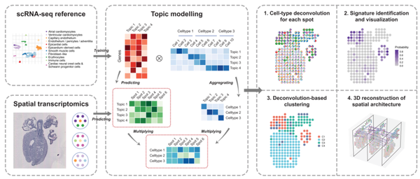9篇生信工具文章，让单细胞和空间转录组数据可视化 | 时空简讯25期 - 知乎