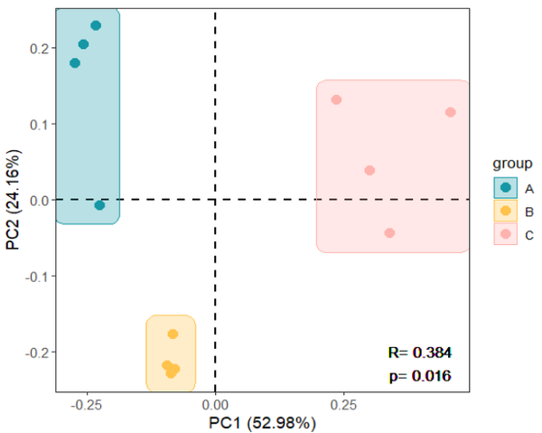 R可视化——如何为散点图添加置信区间或者分组圈？ - 知乎