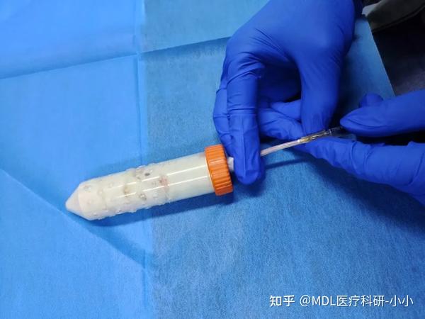 小鼠乳腺癌4T1-luc细胞实验肺转移模型构建 - 知乎