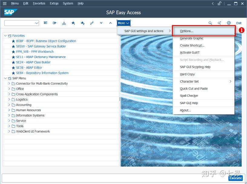 思爱普（SAP）真难之GUI主题设置 - 知乎