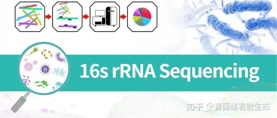 菌群检测选16s还是宏基因组测序？ - 知乎