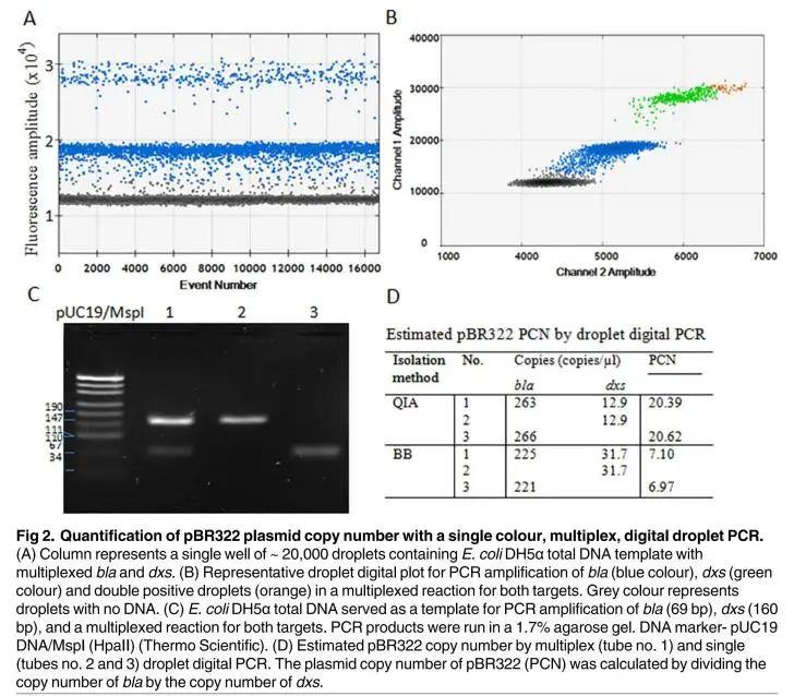 CICC科普丨外源基因绝对定量检测——ddPCR技术 - 知乎