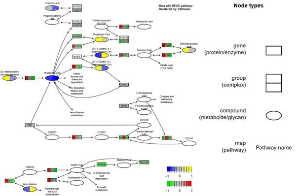 Pathview包：整合表达谱数据可视化KEGG通路 - 知乎