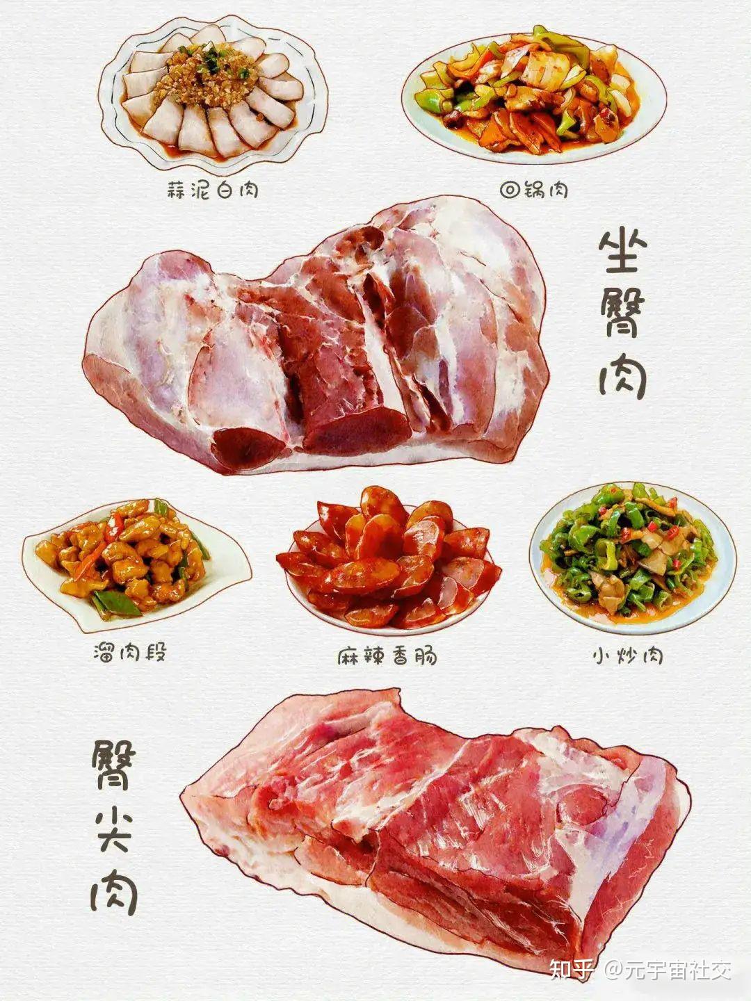 你见过猪跑，但不一定吃过猪肉 - 知乎