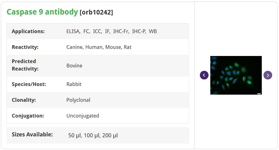 【Biorbyt科研专题】细胞焦亡的信号通路 - 知乎
