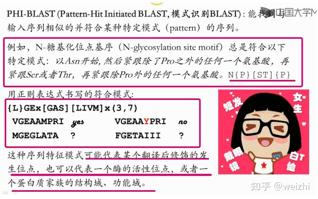 山东大学生物信息学学习笔记4—BLAST - 知乎