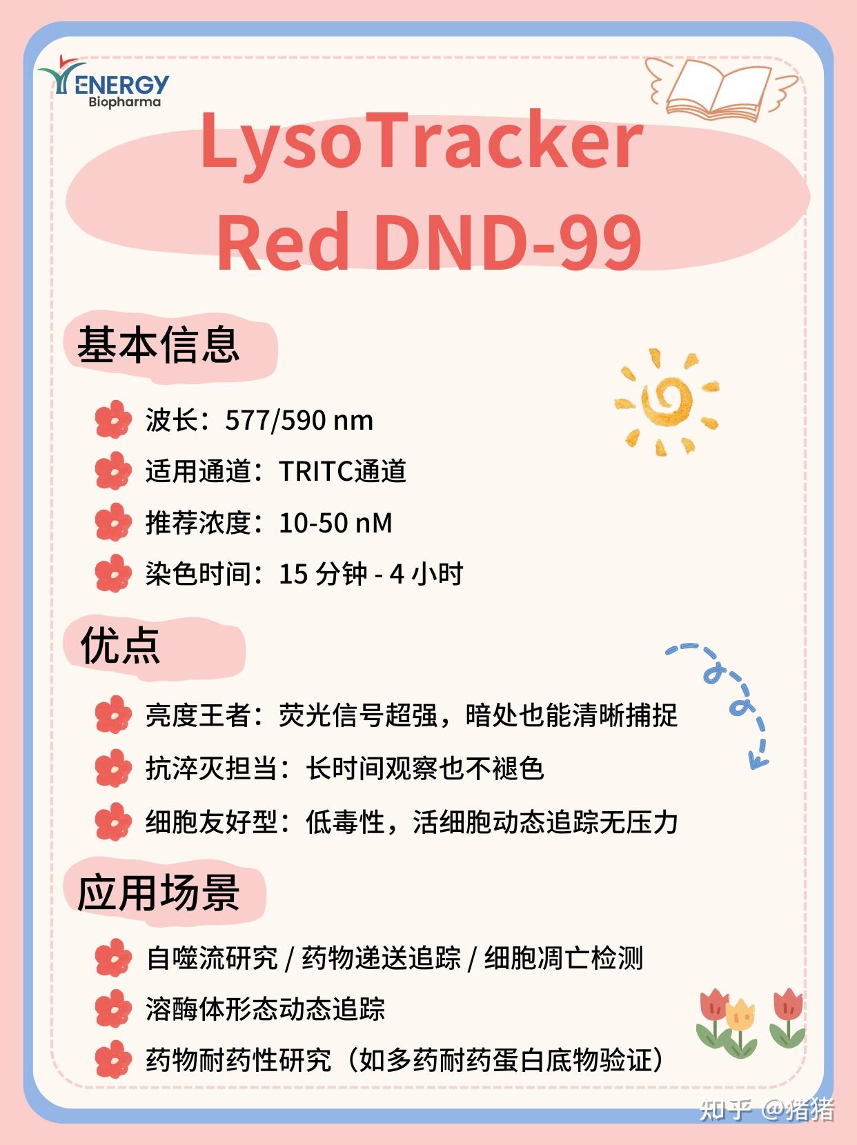 玩转溶酶体 | LysoTracker 四色 CP 教你精准点亮细胞器！ - 知乎