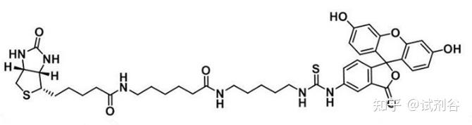 Fluorescein Biotin，FITC-Biotin由Biotin和Fluorescein 连接而成 - 知乎