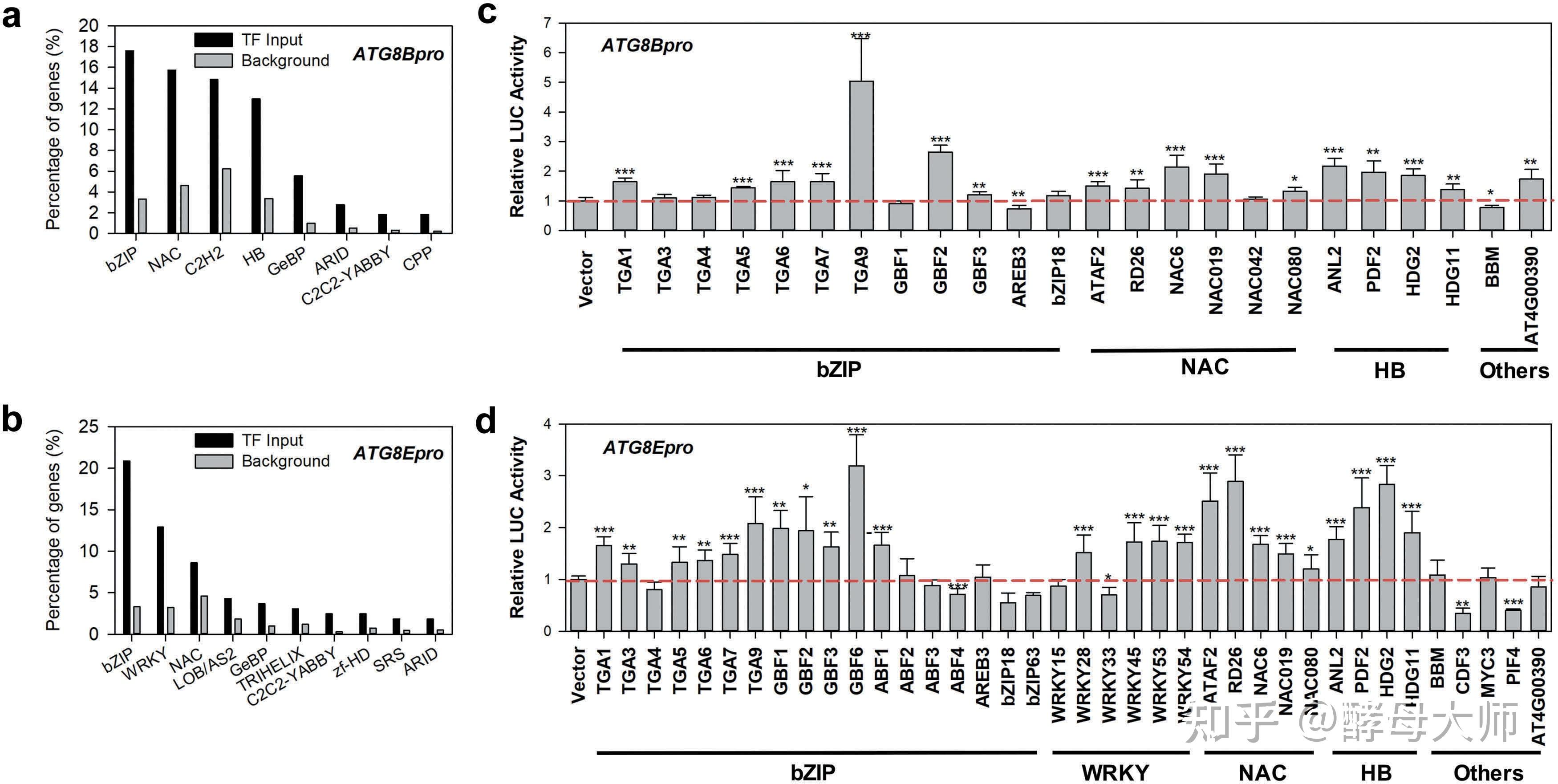 AUTOPHAGY|西北农林科技大学研究团队用Y1H技术鉴定了拟南芥中调节ATG8表达和自噬的转录因子 - 知乎