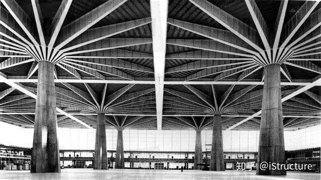 结构大师-P.L.Nervi - 知乎