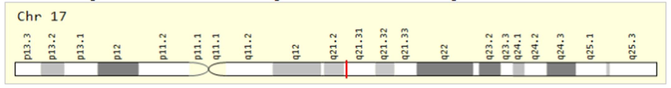 NGS小知识 ‖ 小基因大作用之BRCA - 知乎