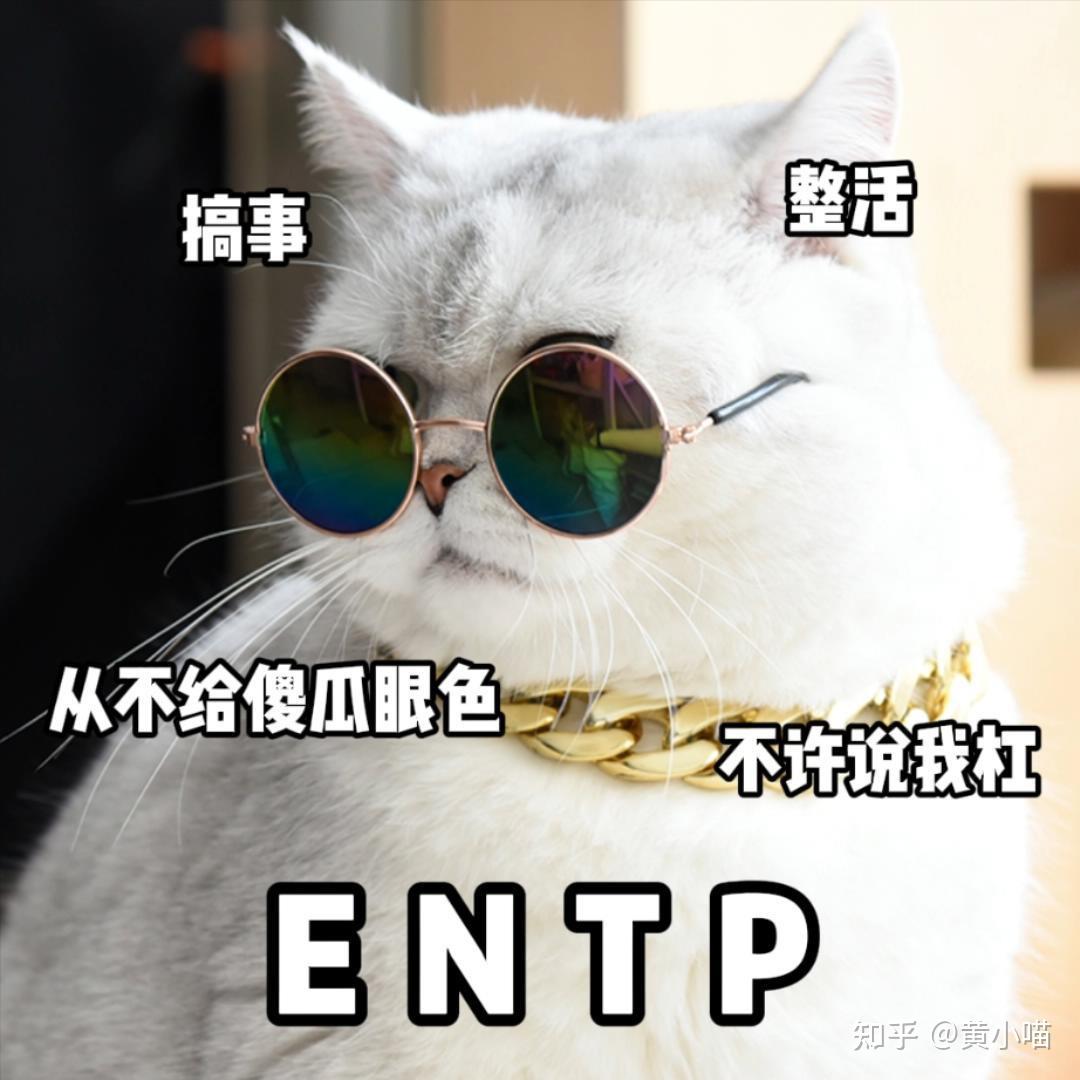 Mbti16人格之一entp的特征 - 知乎