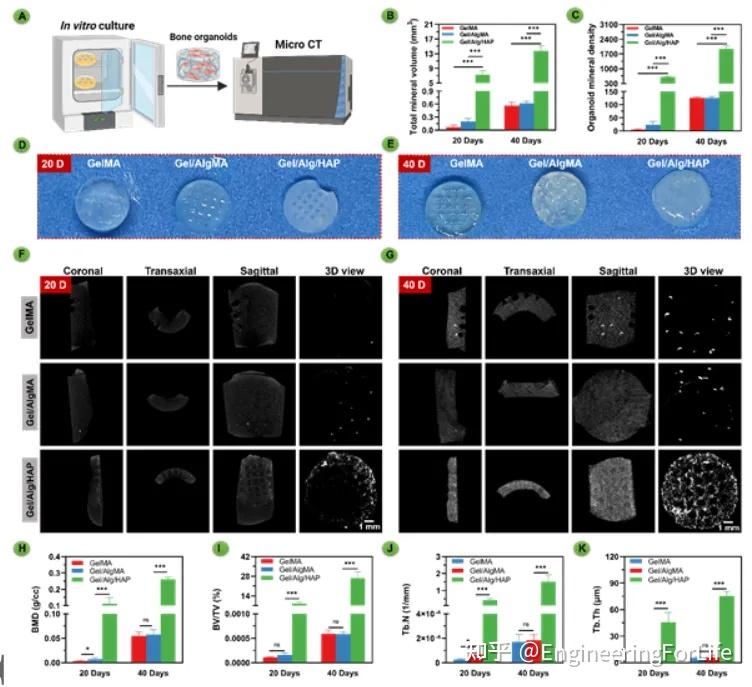GelMA水凝胶，再次登顶AM - 知乎
