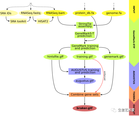 基因组结构预测|Braker3流程 - 知乎