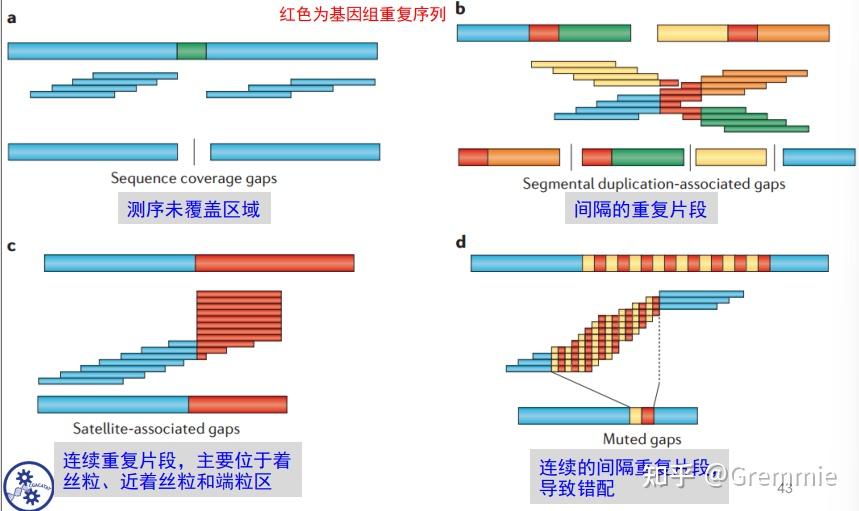 基因组装的概念/算法(OLC,K-mer)详解 - 知乎
