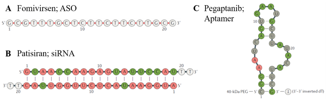 生物分析 | 一文了解寡核苷酸药物生物分析策略 - 知乎