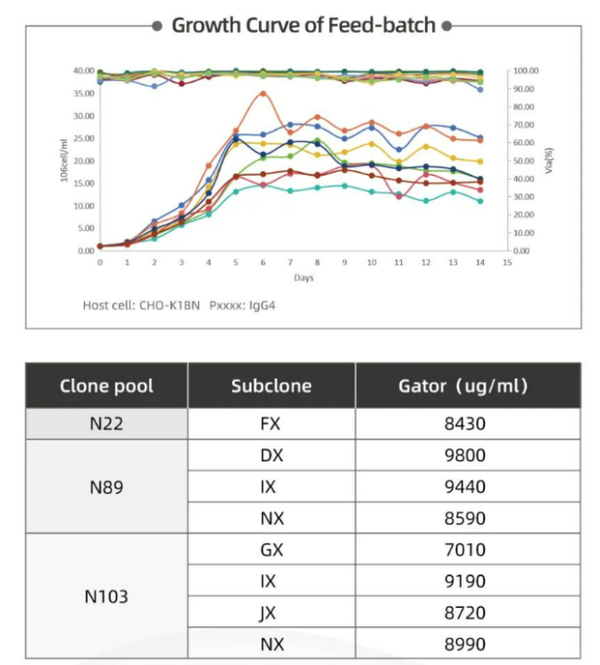 CHO-K1BN细胞株助力抗体药物开发 - 知乎