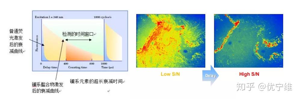 高灵敏度荧光ELISA——带您认识DELFIA技术！ - 知乎
