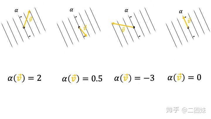Vector 和 Covector - 知乎