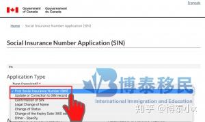 如何在线申请or更新SIN实用攻略 - 知乎