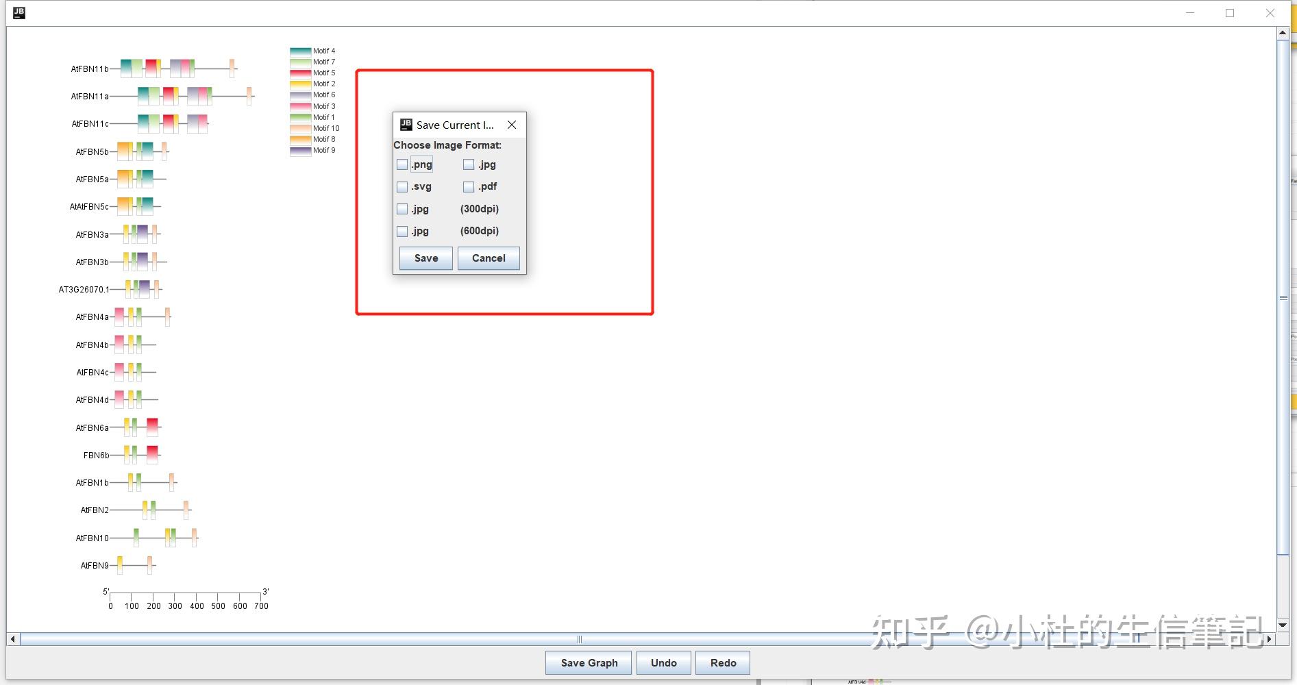 基于TBtools做基因家族分析教程 （全）