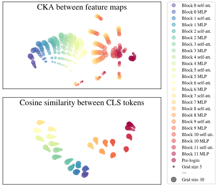 通用 Vision Backbone 超详细解读 (十五)：FlexiViT：一个适应所有 Patch 大小的 ViT 模型 - 知乎