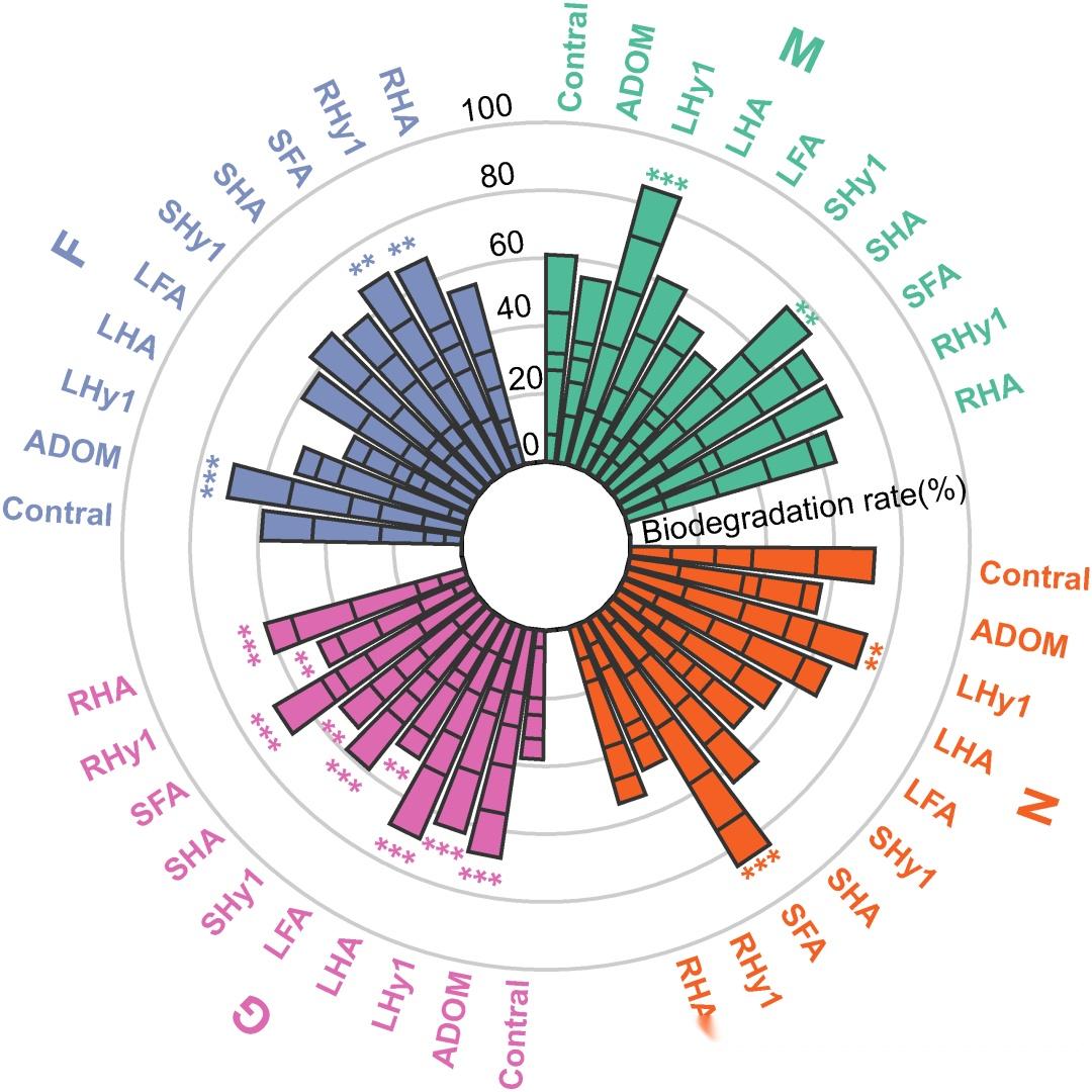 R可视化——一文带你打通ggplot2个性化绘制柱状图（条形图）！！！ - 知乎