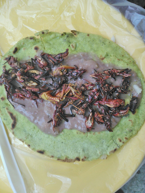 【回到过去当王爷】阿兹特克和玛雅人的饮食传统 - 知乎