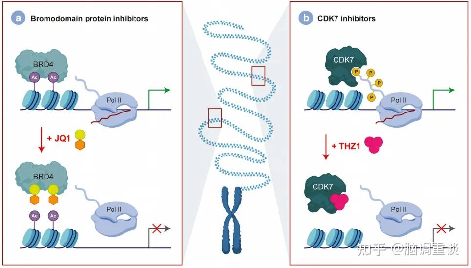 脑干胶质瘤DIPG治疗的新突破与未来展望 —— INC神外Rutka教授研究分享 - 知乎