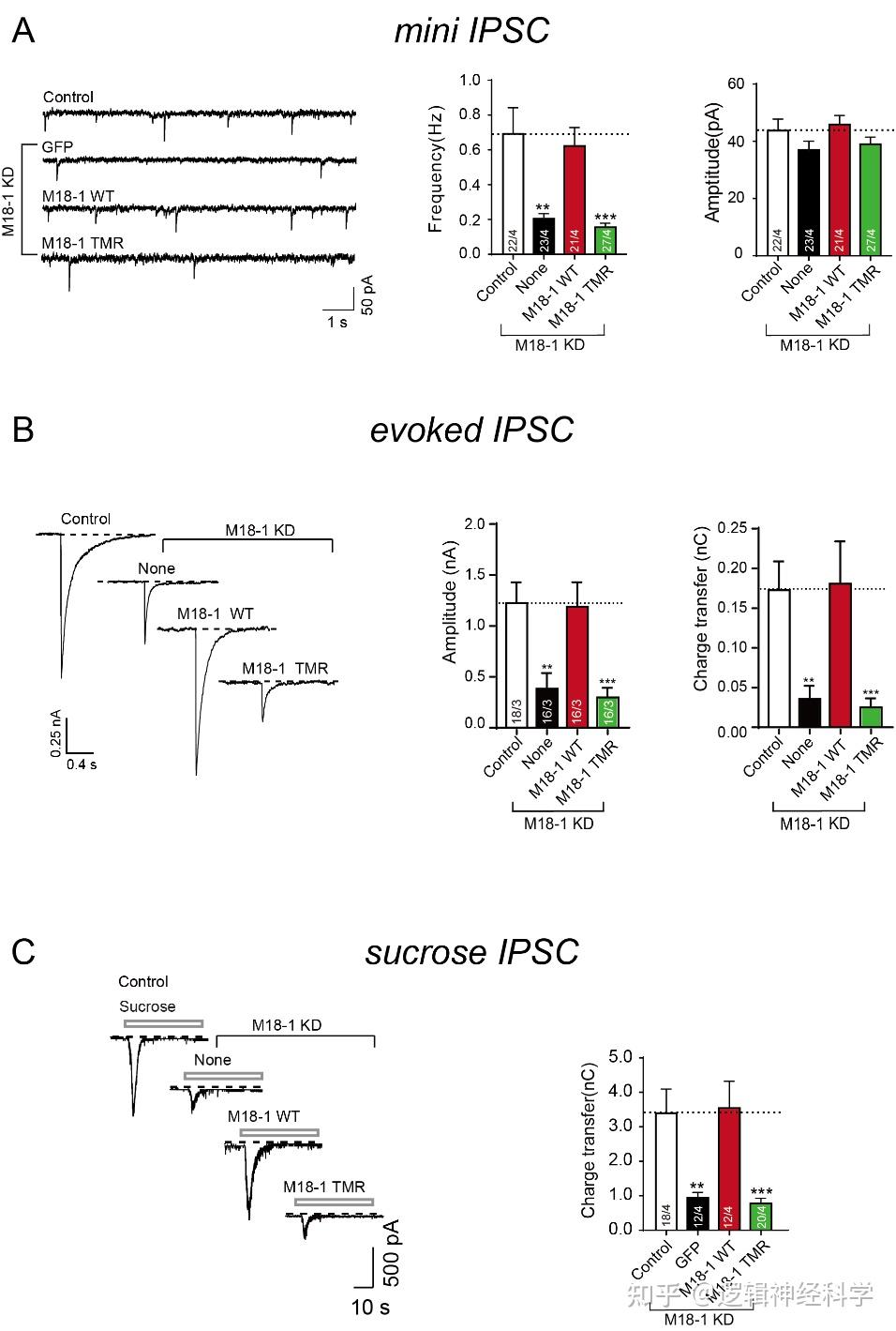 BMC Biol︱阳小飞/马聪团队阐述Munc18-1结构域3a特异氨基酸对其调控SNARE复合物组装和突触囊泡分泌的重要意义 - 知乎
