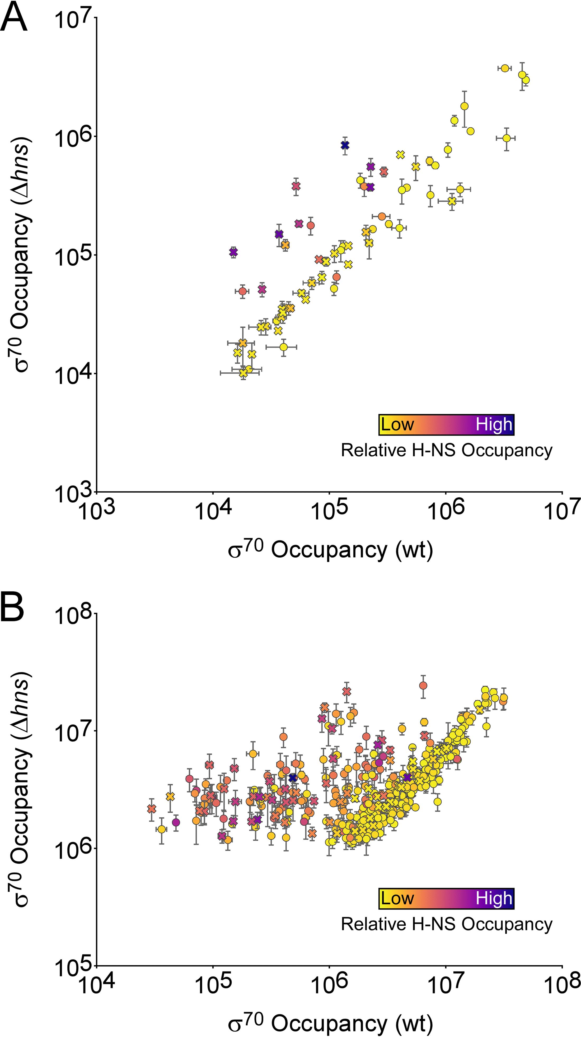 易基因：全基因组ChIP-seq分析揭示细菌转录因子PhoB的基因内结合位点｜mBio - 知乎