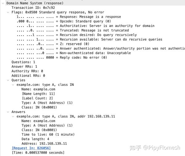 DNS 代理？Pipy：这我也可以 - 知乎
