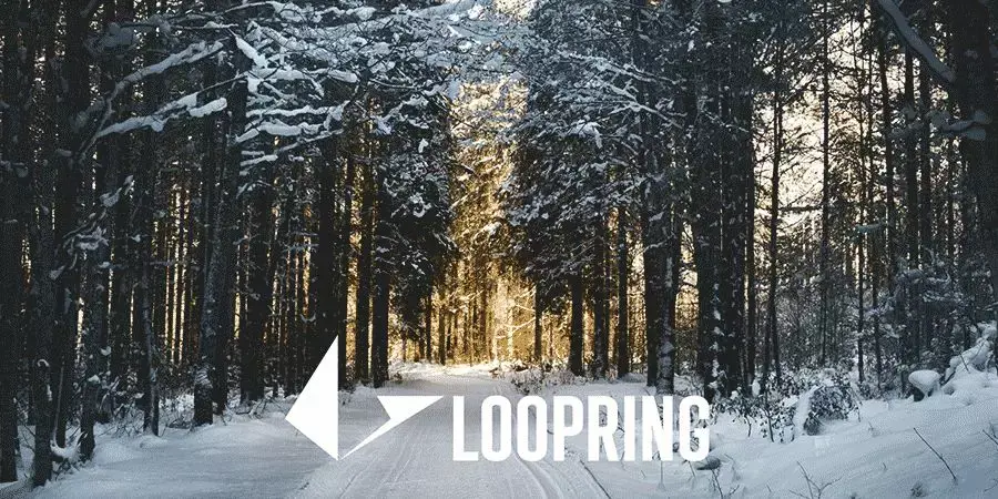 Loopring项目进度报告（第14期） - 知乎