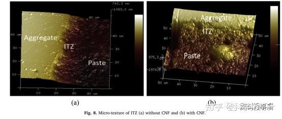 AFM（弹性模量）—文献专项阅读 - 知乎
