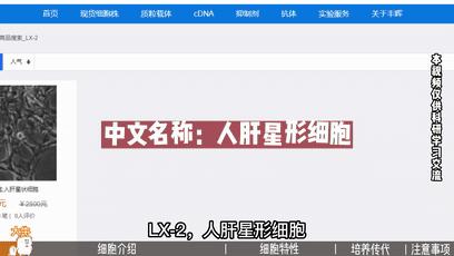 LX-2细胞培养，人肝星形细胞培养攻略 - 知乎