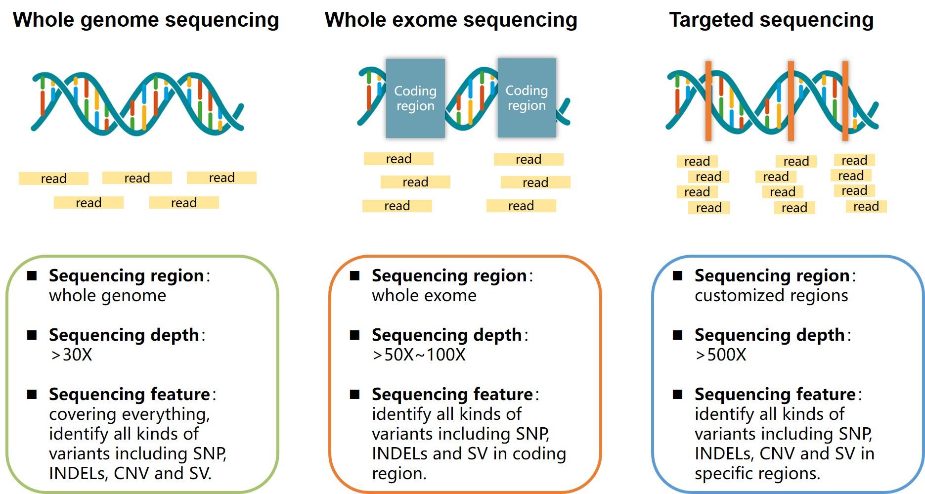 DNA-seq analysis route | 最全面DNA-seq分析学习路径图 - 知乎