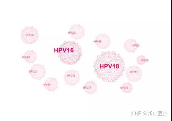 为什么建议在初次性行为之前接种九价hpv疫苗? 知乎