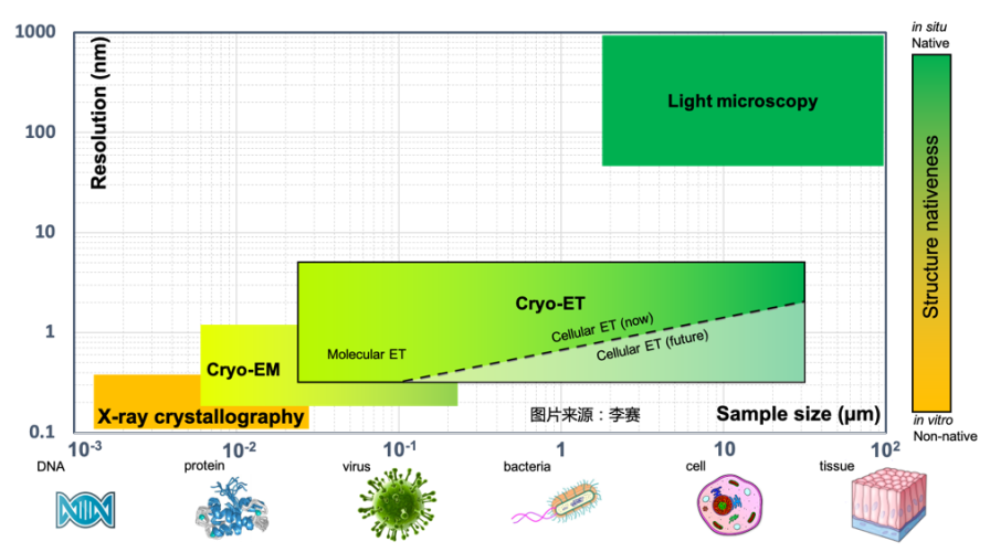 结构生物学的下一个突破：cryo-ET - 知乎