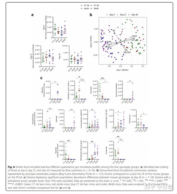 DBDB、OBOB二型糖尿病小鼠 - 知乎