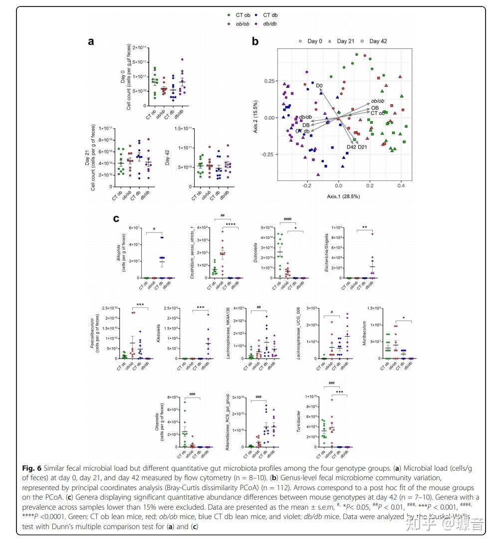 DBDB、OBOB二型糖尿病小鼠 - 知乎