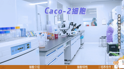 Caco-2细胞培养，人结直肠腺癌细胞培养攻略 - 丰晖生物 - 知乎