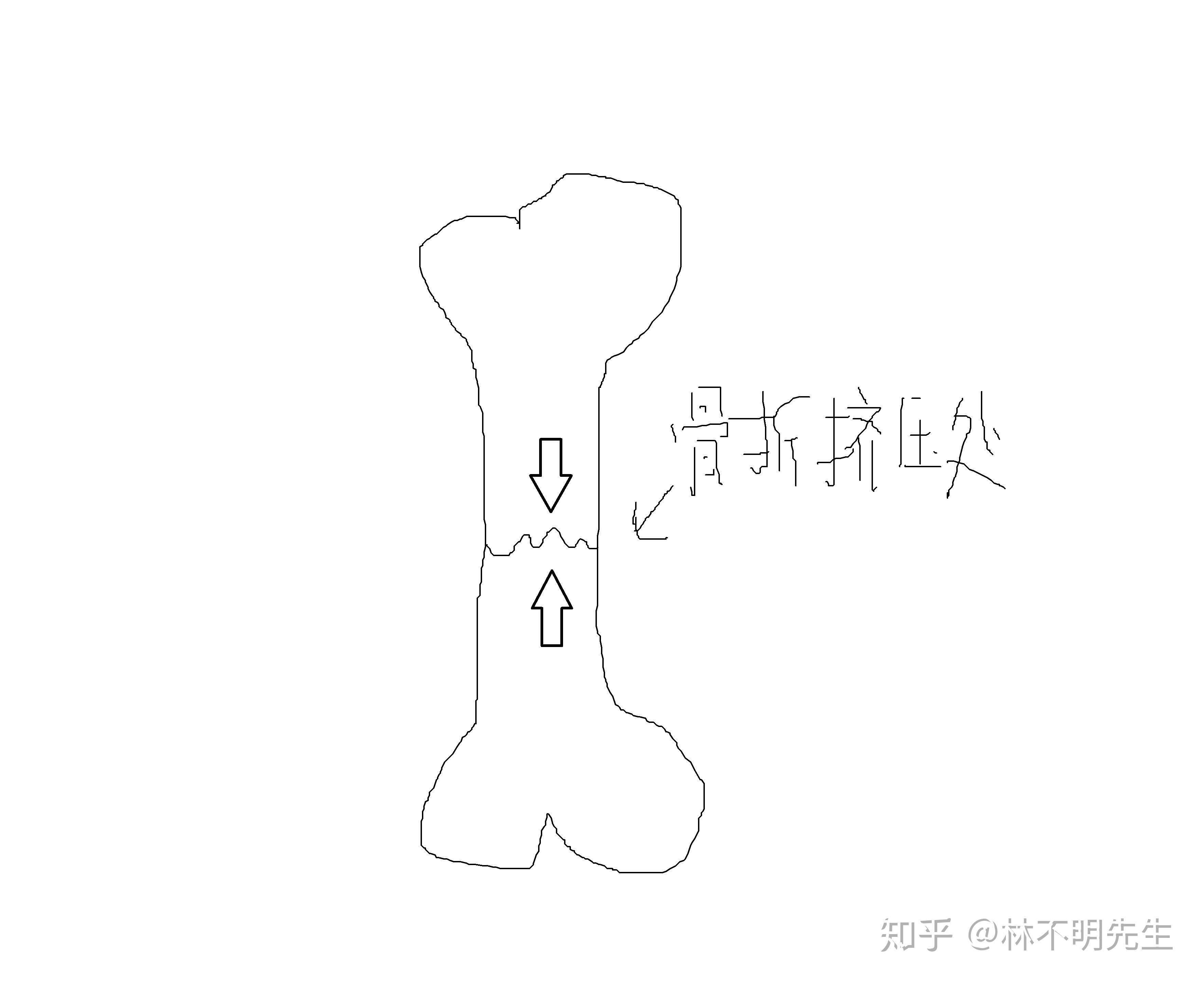 科学史上有哪些最「意外」的发现和发明？ - 知乎