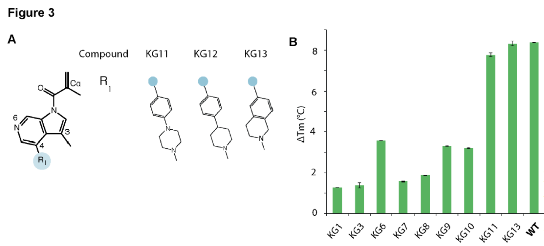 攻克KRAS之后，这位先驱有望突破p53“不可成药性” - 知乎