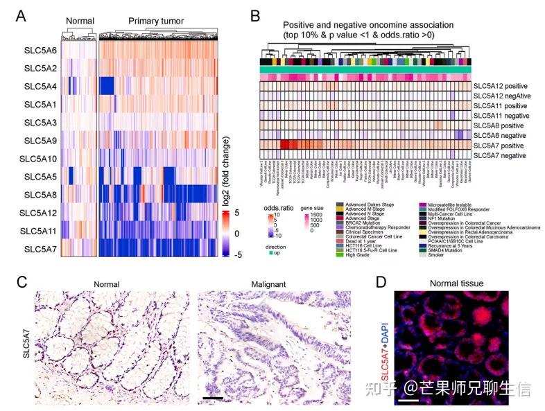 生信文献103.2022年已有13篇Oncomine相关生信论文见刊，其中一篇8分+！终止服务的Oncomine，还能用多久？ - 知乎