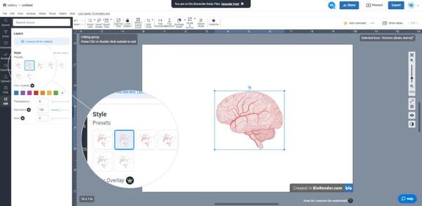 又一个生物与医学PPT素材神器：BioRender - 知乎