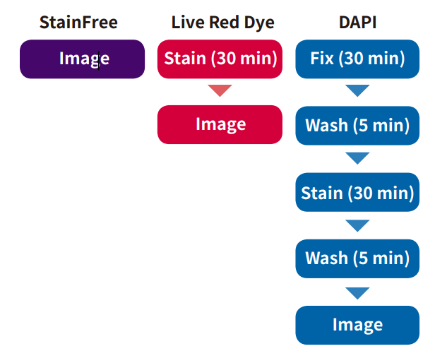 DAPI 染色的替代方案：成像和活细胞计数 - 知乎